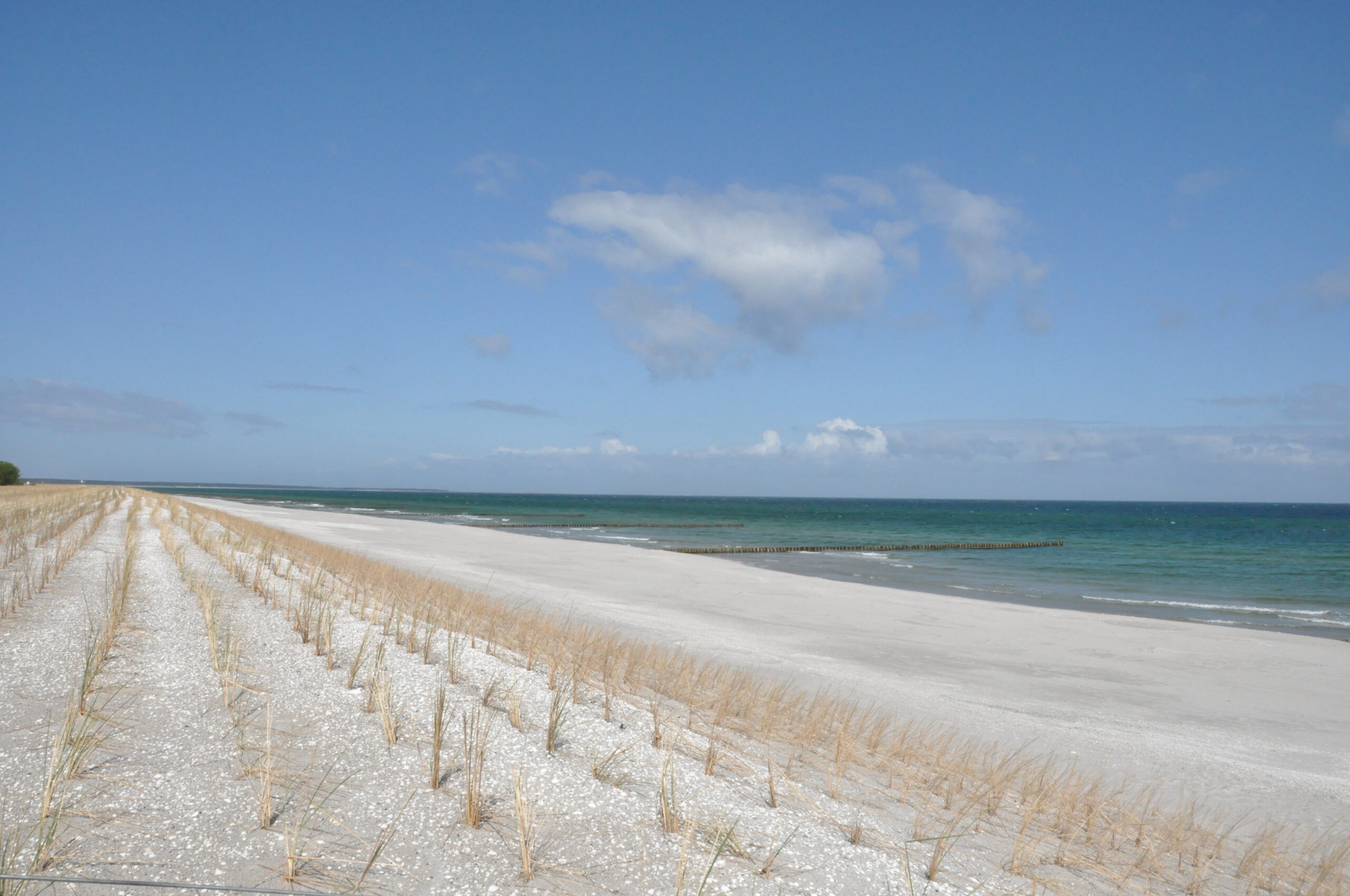 Spaziergang am Strand - Ferienhaus Haus Marilyn